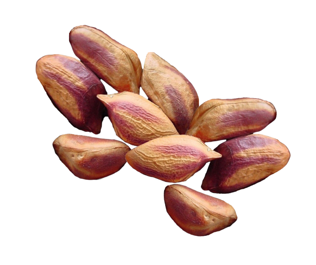 MANÍ TRANSKUTUKÚ D.O.P ORGÁNICO ECOLÓGICO ECUADOR – Aura Monde